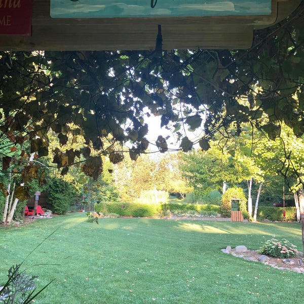 Deck Sign Deck Rules Wood Hanging Sign Outdoor Sign Deck Sign Patio ...