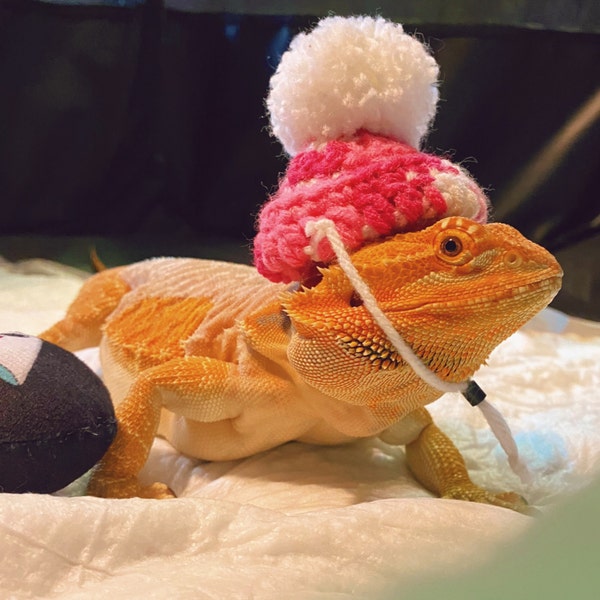 Bearded Dragon Hat, Lizard Costume, Reptile Hat, Crochet Knitted Hat ...