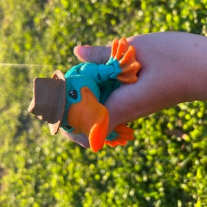 Large Articulated Platypus 3D Printed Figure With Removable Hat ...