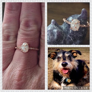 Ashes Ring, Cremation Ring, Pet Ashes, Pet Cremation Ring, Pet Memorial ...