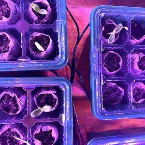 Boy Dinner Sticker Saltburn Movie Good Soup Bathtub Scene Sticker ...