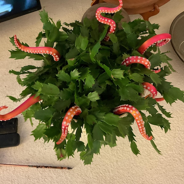 House Plant Accessories Decor - Set of 8 Sea Monster Tentacles - Etsy House Plant Accessories Decor - Set of 8 Sea Monster Tentacles - Etsy