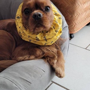 Waterproof Thick Dog Snood , Swimming Cap for Dog , Dog Hat for Snow - Etsy