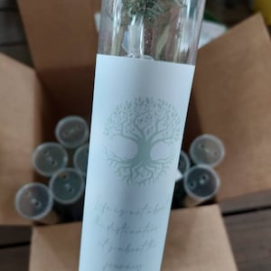 Olive Oil Sampler Pack Olive Oil Tasting Gift Infused Olive Oil Sample ...