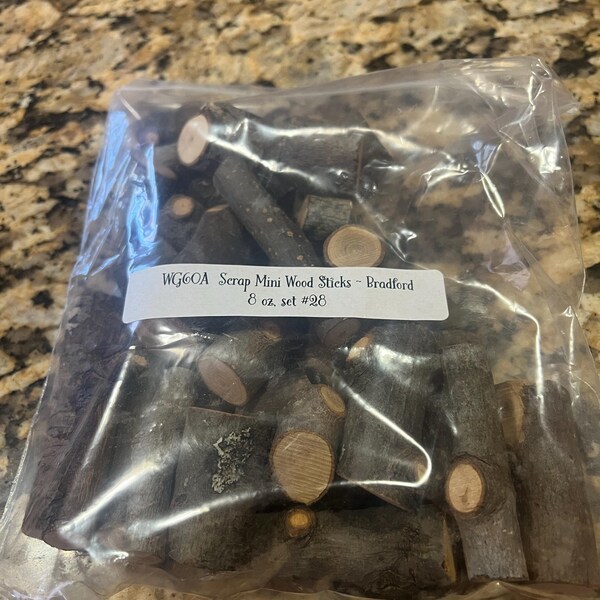 Dried Crepe Myrtle Seed Pods in Assorted Sizes, Natural Dried Mini ...