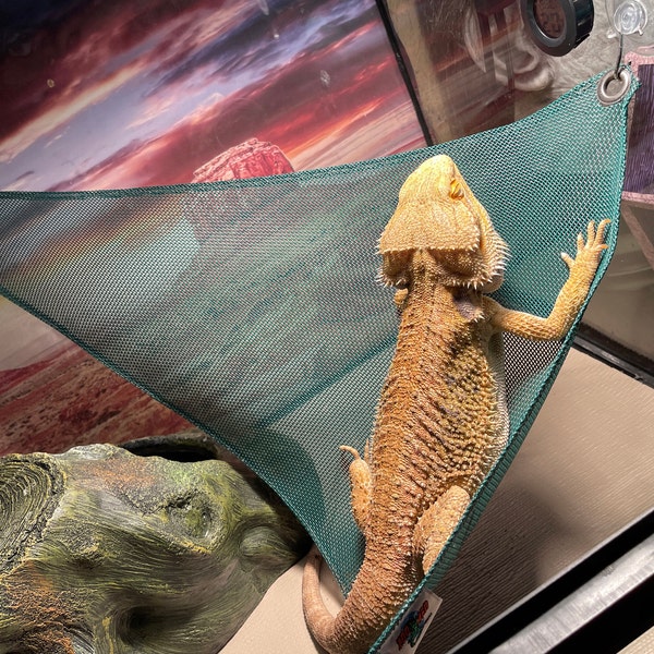Beige Reptile Tank Liner - Etsy
