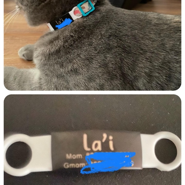 Cat Tags Slide on Pet Tag Custom Slide on Cat Id Tag Pet Id Tag Cat ...