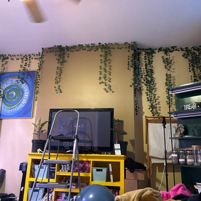 Eucalyptus Strands Set of 2 Strands 180 Cm, or 6 Ft. Each 144 Branches ...