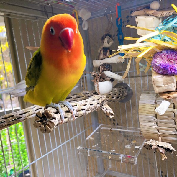 Nuts & Bolts Chopper Motorcycle Handcrafted in New Mexico Artist ...