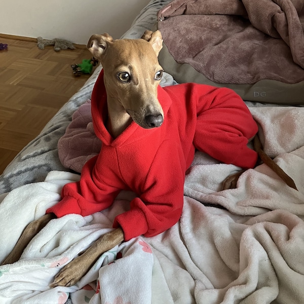 Italian Greyhound Coat, Winter Jacket, Cozy and Warm, Comfortable and ...