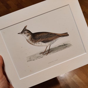 Mappy Birthday Handmade Card Using Original Vintage Map Pieces - Etsy