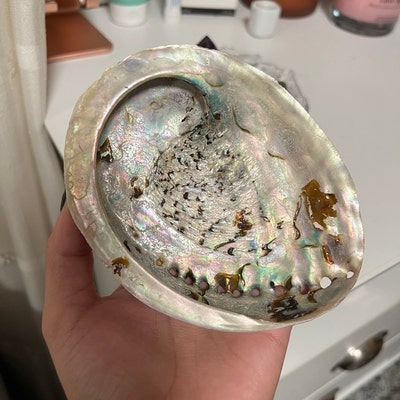 Wholesale Abalone Shells for Smudging, Smudging Bowl to Smudge White ...