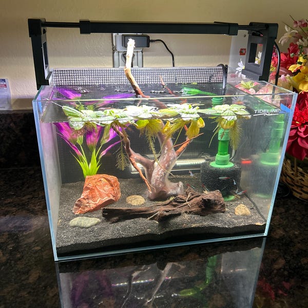 Fluval Aquasky/plant 3.0 Light Risers: Aquarium Tank Mount - Etsy