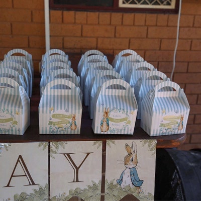 Peter Rabbit Personalised Childrens Party Box Gift Bag Favour - Etsy