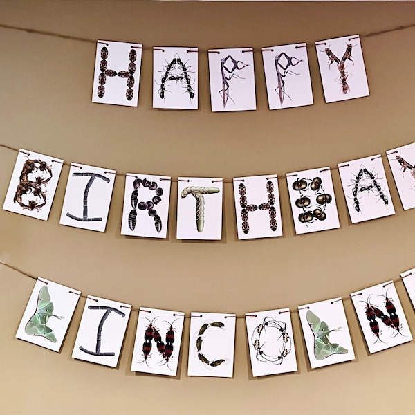 Vegetable Alphabet Poster Unframed Print for Veggie Themed Nursery or ...