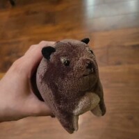 Elephant Shrew Stuffed Toy Native African Animal Shrew Plush Sengi ...