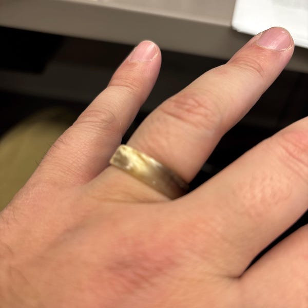 Handcrafted Miniature Coconut Shell Turtle -eco Friendly Coastal Charm ...