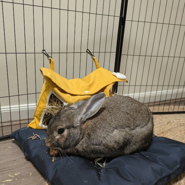 Zipped Hop Hop Green Bunny Rabbit Lounger Pillow Bed/ Cool Bed/ Rabbit ...