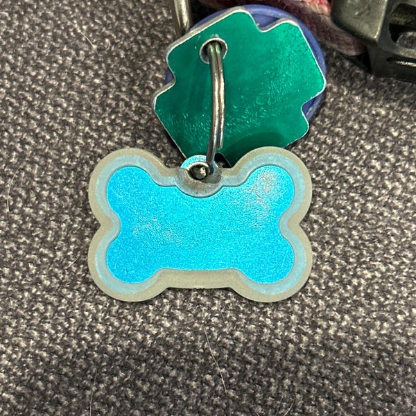 Bone Shaped Dog Pet Id Tag Silencer, Glows in the Dark - Etsy