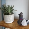 Pigeon Knit Kit All You Need to Knit a Cute Pigeon Bill the Pigeon ...
