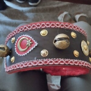 Animals in Transit Car Window Sticker Dog Bumper Sign - Etsy UK