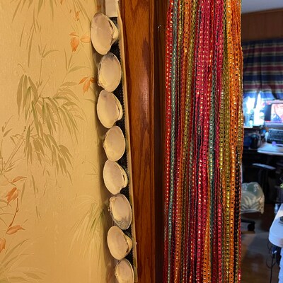 Atlantic Horseshoe Crab Shell With Tail and Legs Intact Naturally ...