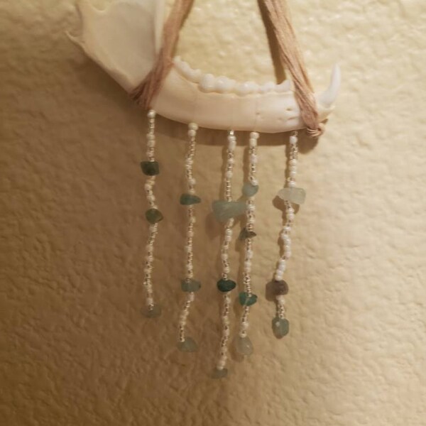 Embalming Equipment Print in |glass Frame | Bones and Skulls | Oddities ...