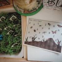 Bug Unit: Science Pack - Etsy Canada