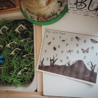 Bug Unit: Science Pack - Etsy