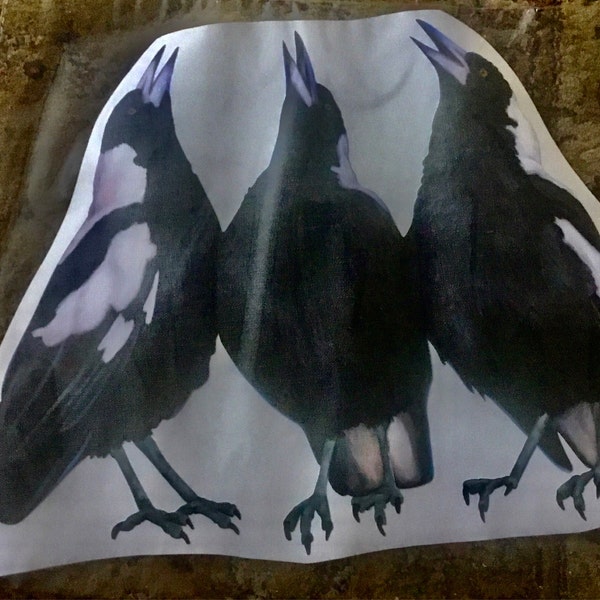 Warbling Magpies Decal, Australian Trio Magpies Sticker, Bird Lover ...