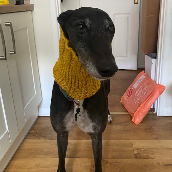 Chunky Knit Snoods | Greyhound | Lurcher | Whippet - Etsy