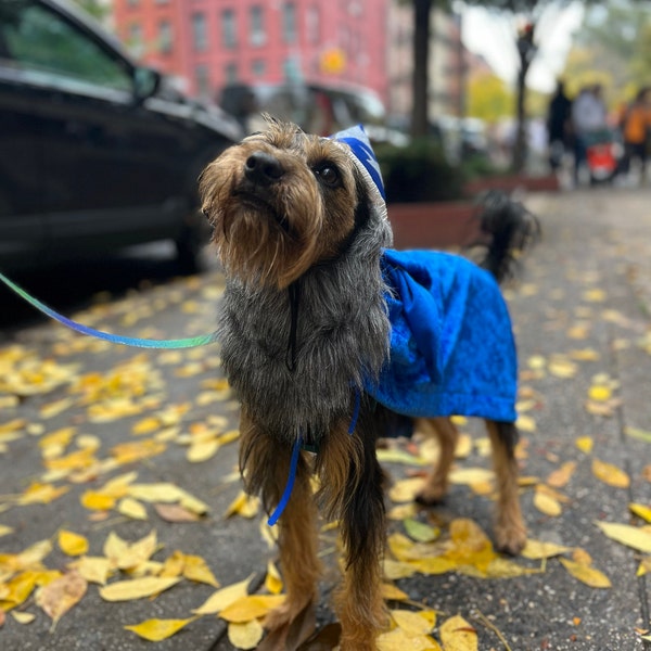 DOG Cape With Hood - Etsy