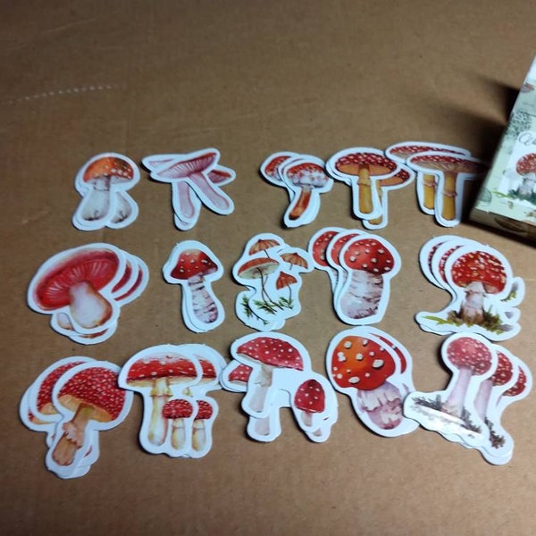 Mushroom Sticker Set, Red Mushroom Caps, Fungi Sticker, Fungus Stickers ...