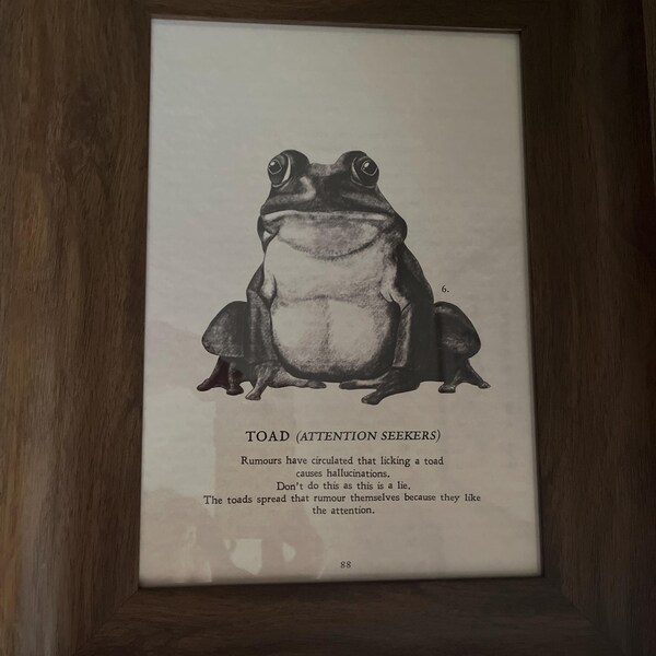 Toad - A4 Print | Includes Funny Hidden Message - Dark Academia ...