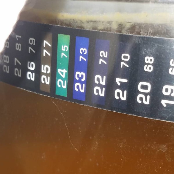 Authentic Honey JUN SCOBY W/starter Fermenting Instructions Champagne ...