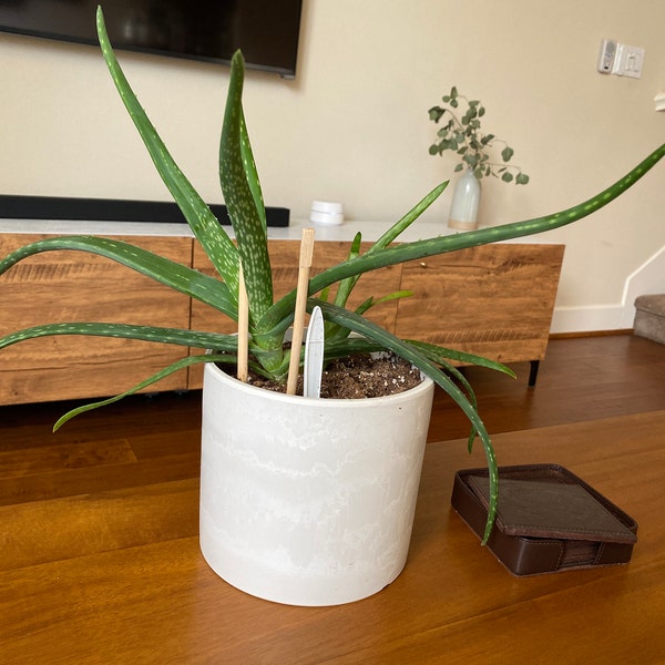 7" Planter Pot With Drainage Hole & Plug | Indoor Planter Pot | Eco ...