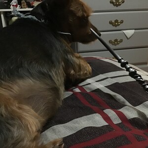 Gender Neutral Baby Shower Favor / Wizard Wand / Gender Reveal | Etsy