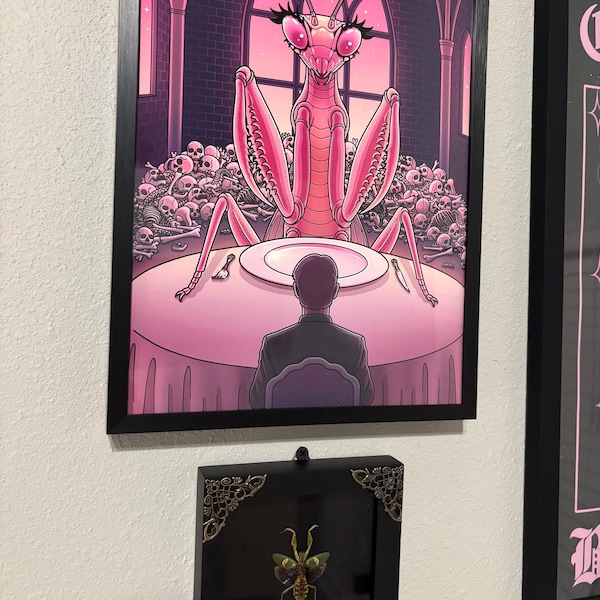 Real Framed Mantis Creobroter Beetle Shadow Box Dried Insect Dead Bug ...