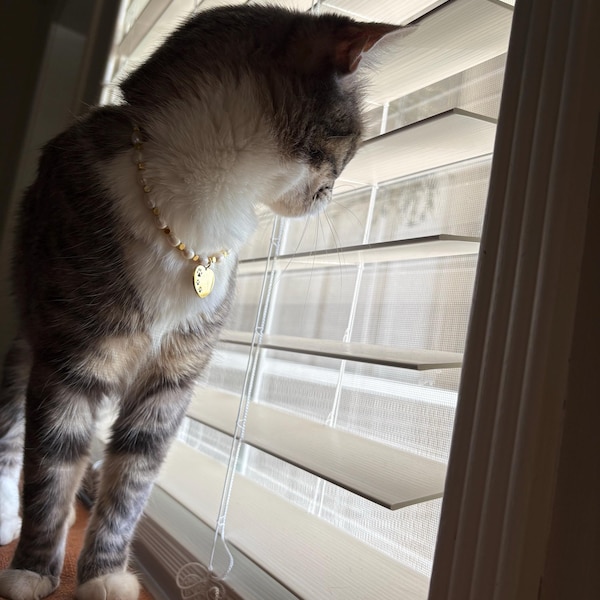 Pink Crystal Cat Collar,rose Quartz Dog Beaded Necklace,kitten Small ...