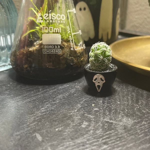 LITTLE PRICKS Miniature Cactus (light Brown) - DIY Cactus Kits, Hand ...