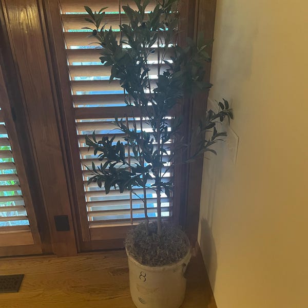 WWII US Army Mermite Food Container 1943/44 SMCO W/ 3 Inserts Militaria ...