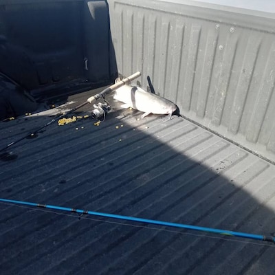 STAIRWAY2HEAVEN FUNERAL RESOLUTION LETTER download Only - Etsy