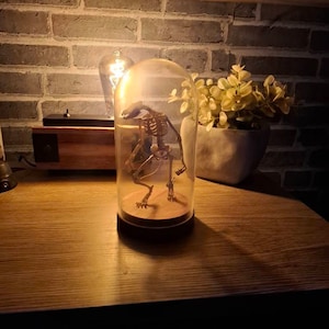 Sphinx Skeleton, Curiosity Cabinet - Etsy