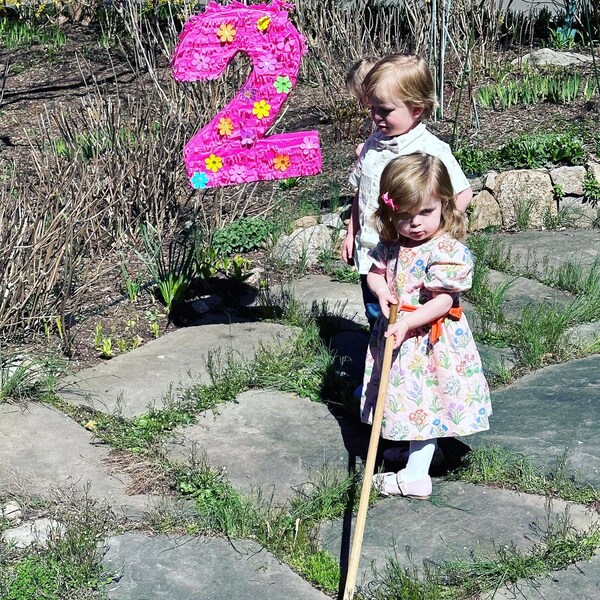 20" Tall Number Two Pinata Flowers Theme Two Groovy Themed Party Pinata ...