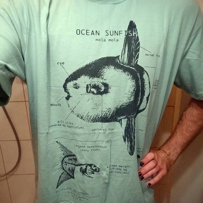 Killer Whale Anatomy Crop Top Orca Top Marine Biologist - Etsy