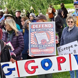 Printable Protest Sign Poster "defend the Constitution" Political Art ...