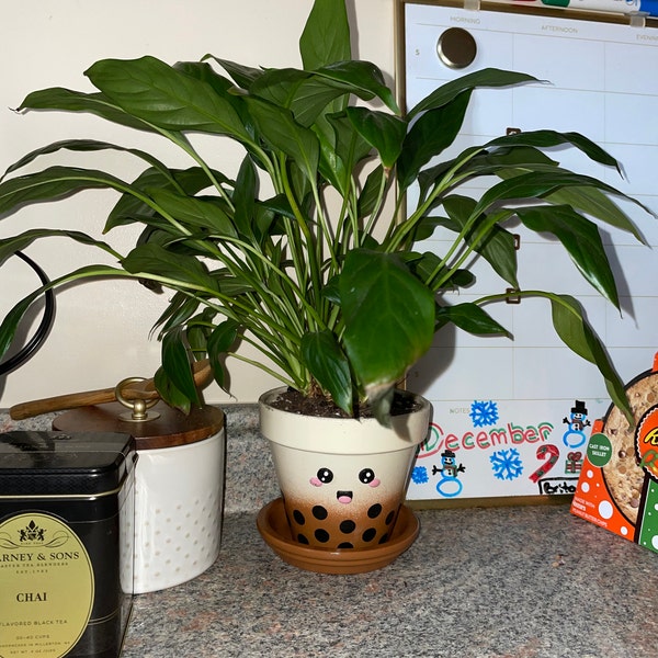 Boba Tea Plant Pot | Coconut Milk Tea With Rainbow Jelly Clay Planter ...