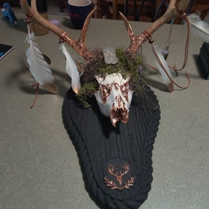 Beginner Bone Throwing Class - Etsy