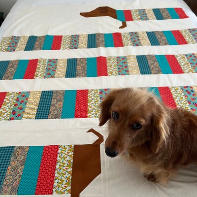 Dog Daze Quilt Stacy Iest Hsu Quilt Pattern PDF - Etsy