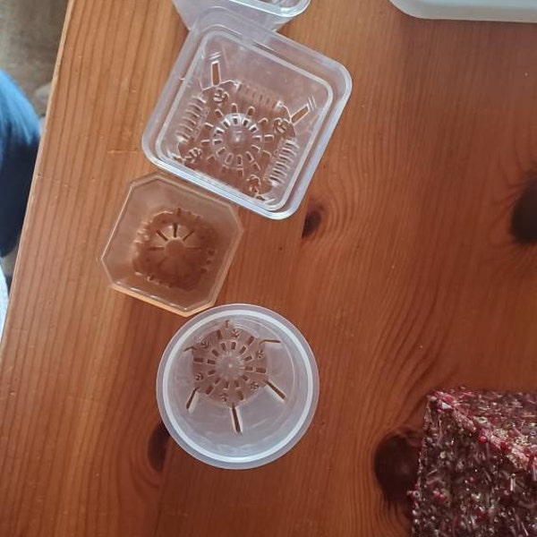 Small Clear Square Nursery and Seedling Pot Container Study Clear ...